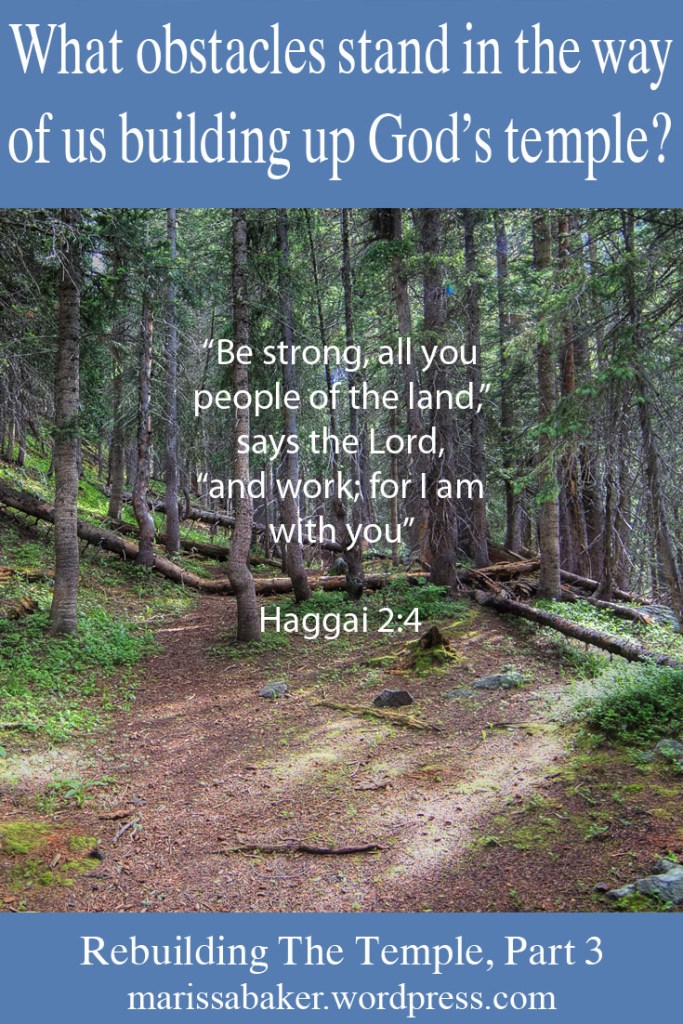Obstacles To Temple Building (Lessons from Haggai, part three) – Like ...