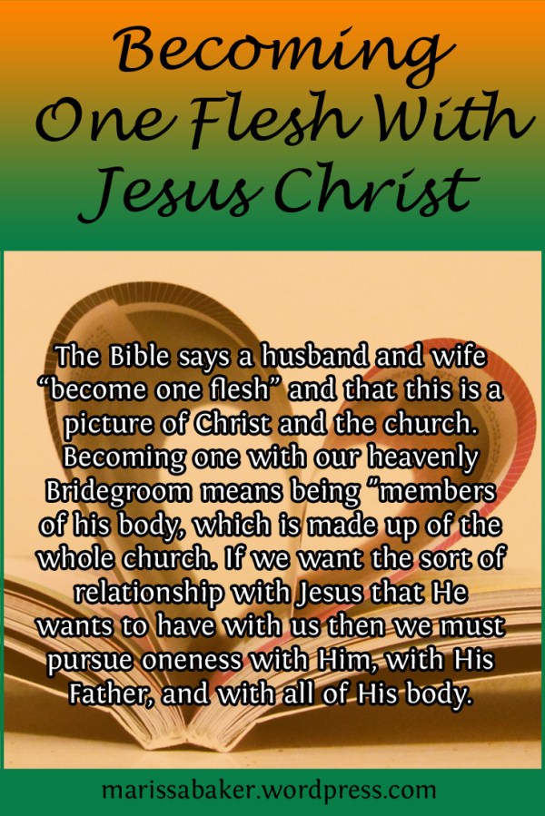 Becoming One Flesh With Jesus Christ – Like An Anchor