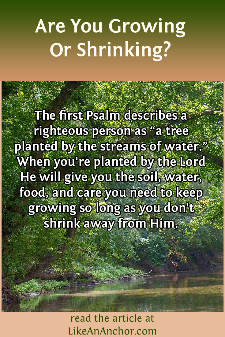 Are You Growing Or Shrinking? – Like An Anchor