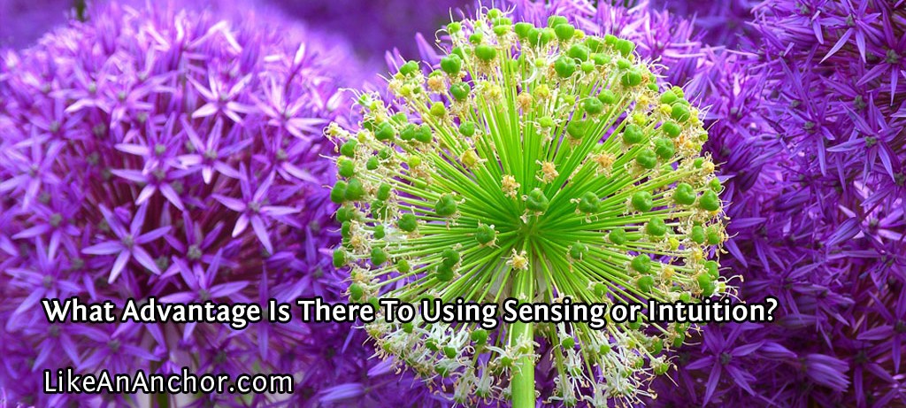 What Advantage Is There To Using Sensing Or Intuition In Myers-Briggs ...