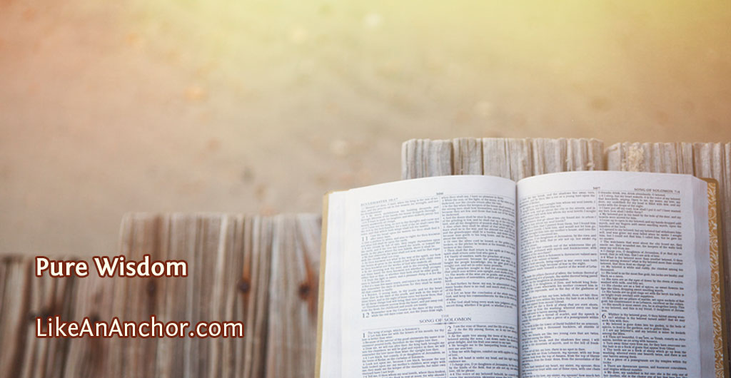 Pure Wisdom – Like An Anchor