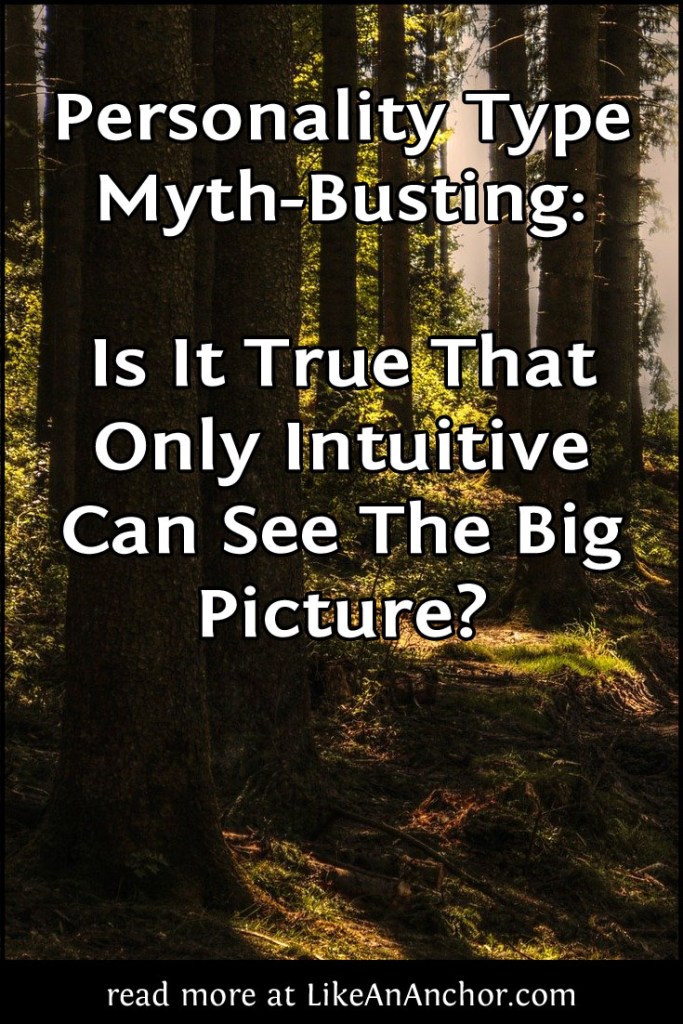 Personality Type Myth-Busting: Is It True That Only Intuitive Can See ...
