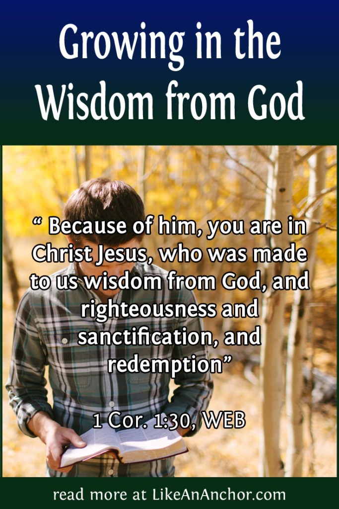 Growing in the Wisdom from God – Like An Anchor