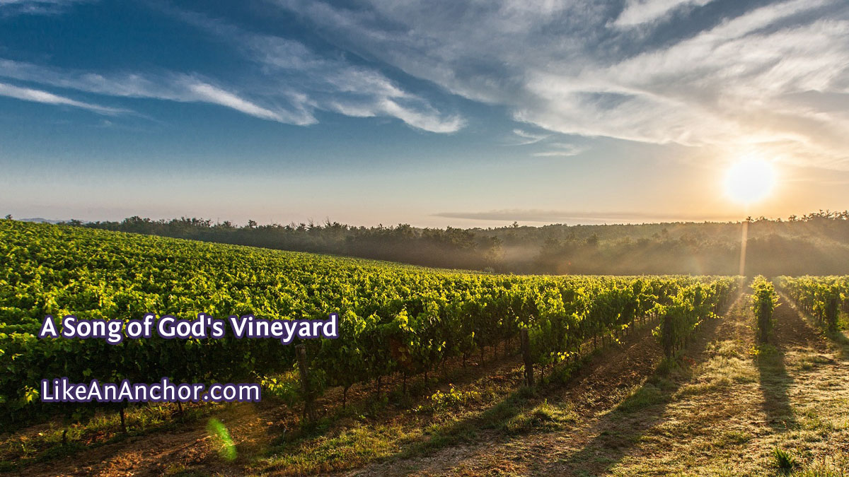 A Song of God’s Vineyard – Like An Anchor