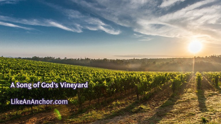 A Song of God’s Vineyard – Like An Anchor