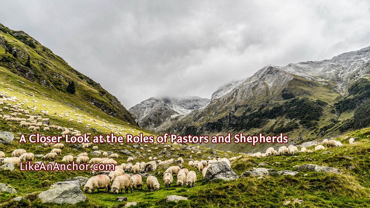 A Closer Look at the Roles of Pastors and Shepherds – Like An Anchor